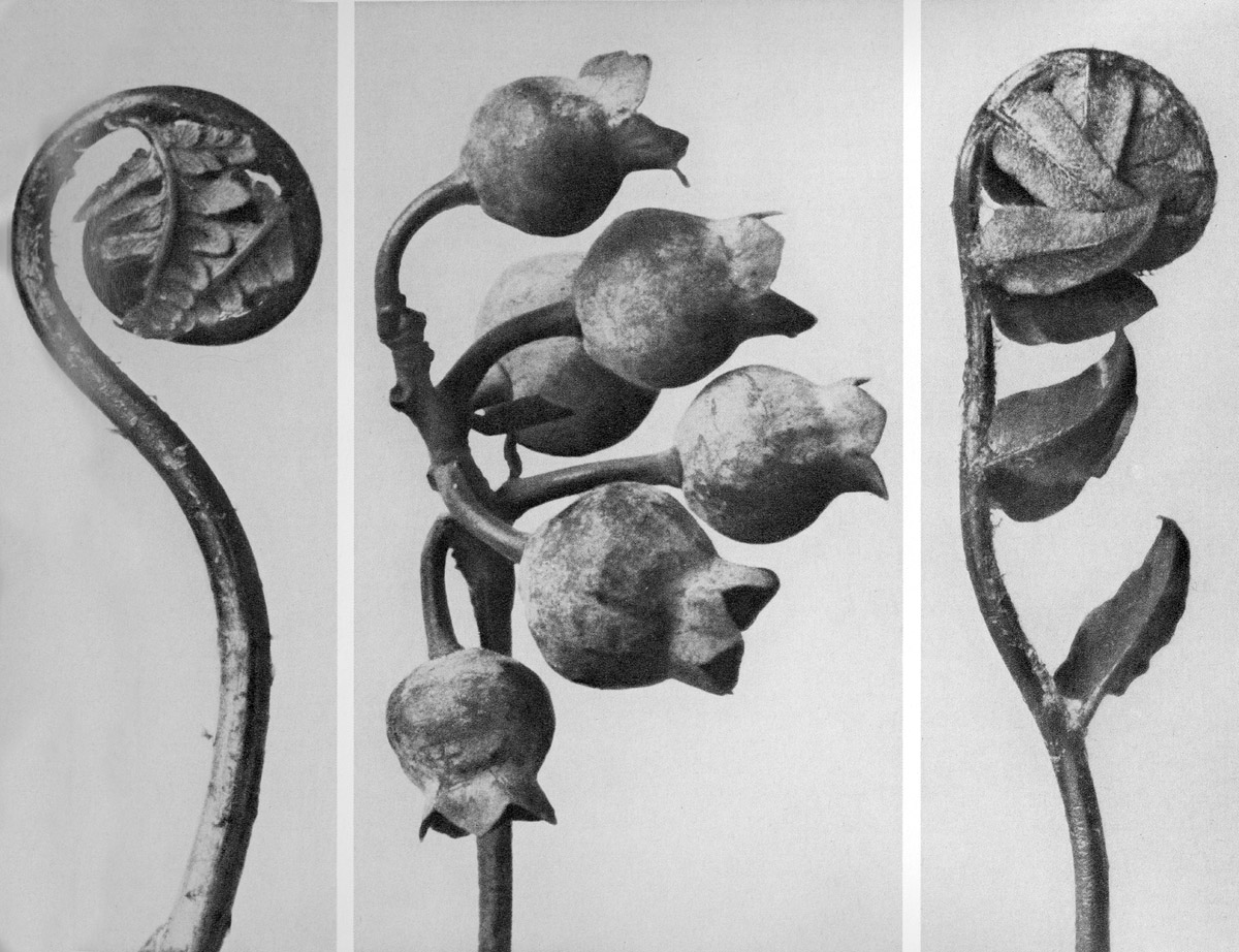 Guest Speaker: Chris Gillman Gable – Dunedin Photographic Society